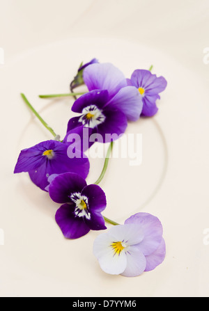 Purple edible flowers Stock Photo - Alamy