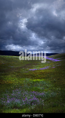 Growing storm clouds Stock Photo - Alamy
