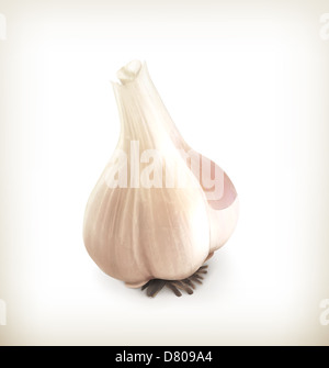 illustration, root, vegetable, garlic, vegetarian, cartoon, head, food ...