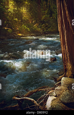 Water rushing over rocks in a river , Rivers, Rocks, Tichnor Brothers ...