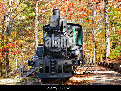 Logging heritage Steam Locomotive train engine, BC Forest Discovery ...