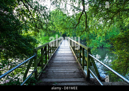Footbridge Across Beeleigh Falls Stock Photo - Alamy