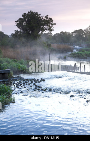 Misty Dawn at Beeleigh Falls Stock Photo - Alamy