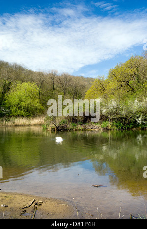River Ely from the Ely Trail Footpath, Cardiff, South Wales Stock Photo ...