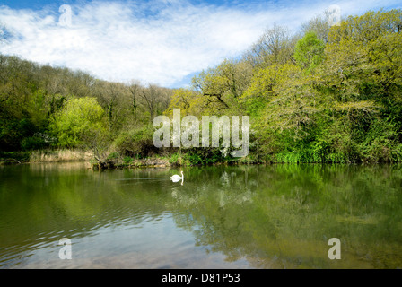 River Ely from the Ely Trail Footpath, Cardiff, South Wales Stock Photo ...