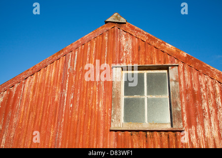 Window of one of the Settlement, Pebble Island, Falkland Islands, Great ...