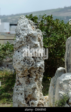 Skorba Prehistoric Temple, Malta Stock Photo - Alamy