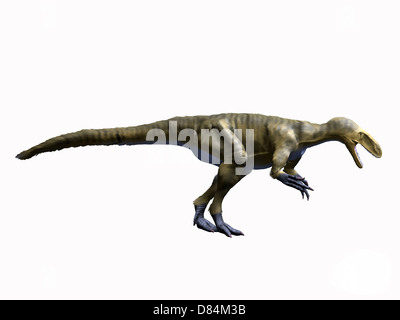 Dryptosaurus aquilunguis dinosaur, side view on white background Stock ...