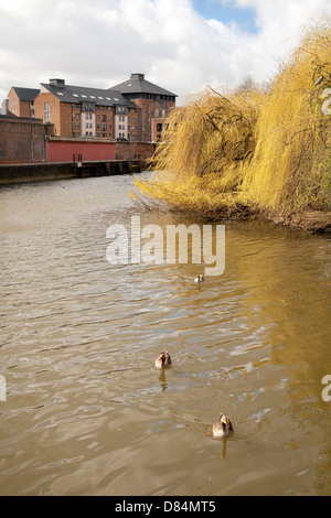 River Foss in the city of York North Yorkshire England UK Stock Photo ...