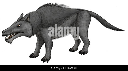 Illustration of the prehistoric mammal Andrewsarchus mongoliensis with ...