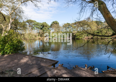 Royden Park at Frankby has a miniature railway Stock Photo - Alamy