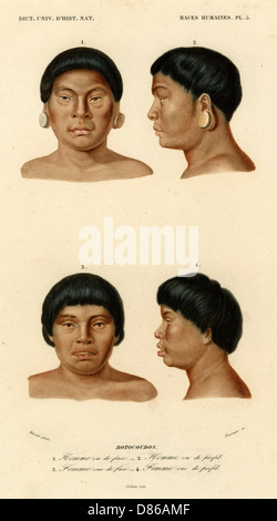 Brazil - 1849 Stock Photo - Alamy