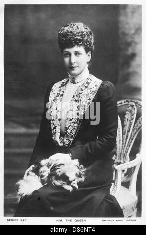 Alexandra's dog Japanese Chin Stock Photo - Alamy