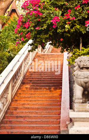Many steps of stair Stock Photo - Alamy
