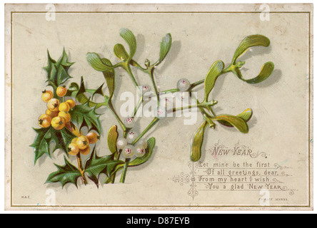 Sprig of Mistletoe Stock Photo - Alamy