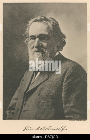 Ilya Ilich Mechnikov ( Elie Metchnikoff 1845-1916) Russian zoologist ...