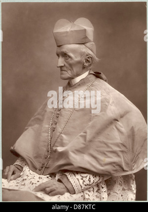 Henry Edward Manning Stock Photo - Alamy