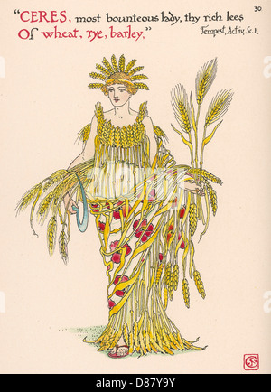 Rye, Secale cereale, wheat, Triticum aestivum, and ergot or spurred rye ...