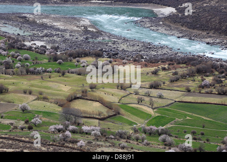 Picturesque view of Peach Blossom Valley in Nyingtri, Tibet, China ...