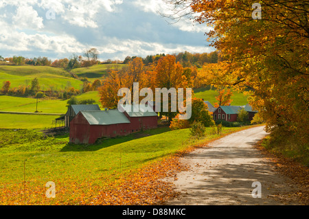 Jenne Farm with barn at sunny autumn day Stock Photo - Alamy