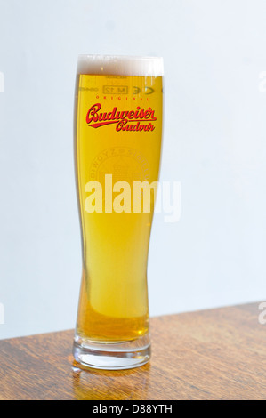 Budweiser Budvar pint glass of beer Stock Photo - Alamy