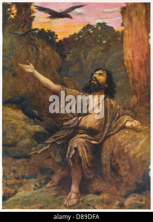 ELIJAH FED BY RAVENS Stock Photo - Alamy