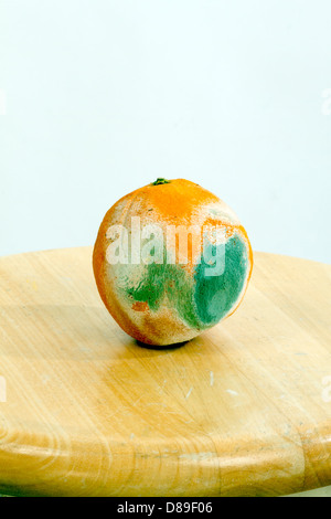 rotten fruit, mouldy orange cut open Stock Photo - Alamy