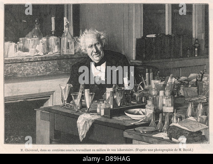 Michel Eugene Chevreul (1786-1889) French chemist. Engraving 1889 Stock ...
