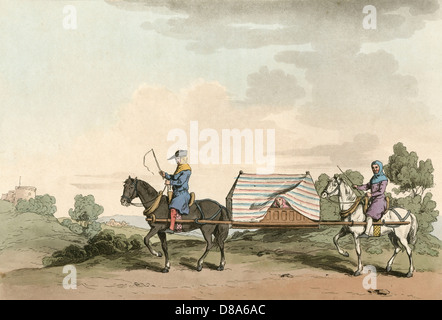 HORSE LITTER OF 1325 Stock Photo - Alamy