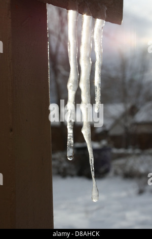 The sun shining through icicles Stock Photo - Alamy