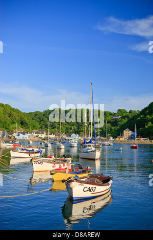 A coastal path at Fishguard, Pembrokeshire, Wales Stock Photo - Alamy