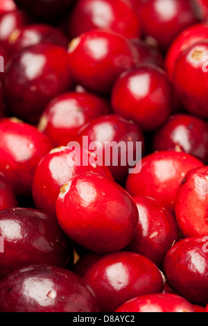 Red Ripe Cranberry against a back ground Stock Photo - Alamy