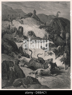 Animals Sick of Plague Stock Photo - Alamy