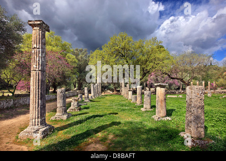The Palaestra at Olympia, site of the ancient Olympic Games ...