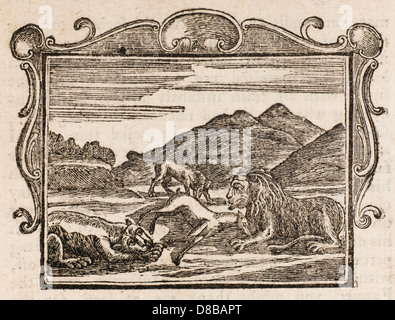 'The Lion, The Tiger, and the Fox' fable by Aesop (circa 600BC). A lion ...