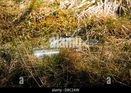 Broken glass bottles on dry grass fire hazard Stock Photo - Alamy