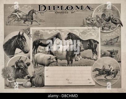 Diploma awarded by Stock Photo - Alamy