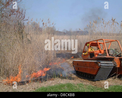 Flames burn through dry grass and piles of pine trees as the Longwood bushfire continues in ...