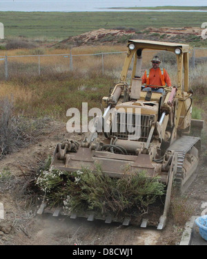 Man driving bulldozer Stock Photo - Alamy