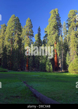 Lush green trees stand against a backdrop of layered red rocks and ...