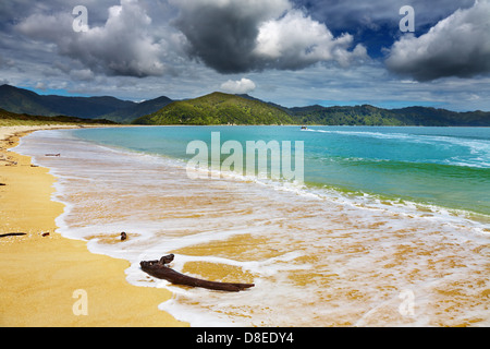 Abel Tasman National Park, New Zealand Stock Photo - Alamy