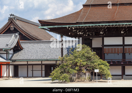 Shishinden main hall, Kyoto Imperial Palace (Kyoto Gosho), Japan Stock ...
