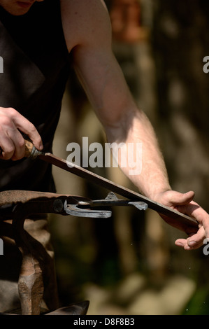 Sam Warman, farrier, tends to the feet of a Clydesdale horse Stock ...