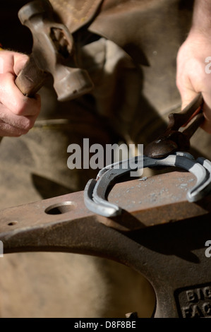 Sam Warman, farrier, tends to the feet of a Clydesdale horse Stock ...
