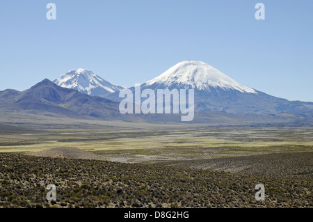 Pomerape and Parinacota twin volcanoes, mountain landscape, vegetation ...