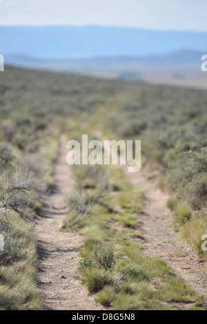 Tracks from the historic Oregon Trail, Northeastern Oregon Stock Photo ...
