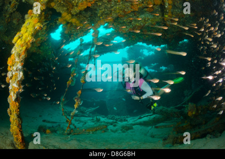 Female scuba diver inside the wreck of the SS Dunraven, Red Sea, Egypt ...