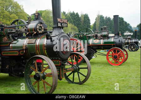 A gathering of steam engines on display at Welland Steam and Country ...