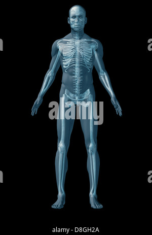 Transparent human male isolated on white thinking with skeleton showing ...