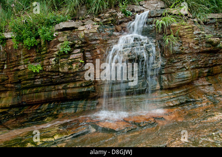 Waterfall over rocks in Pacheca island forest Stock Photo - Alamy